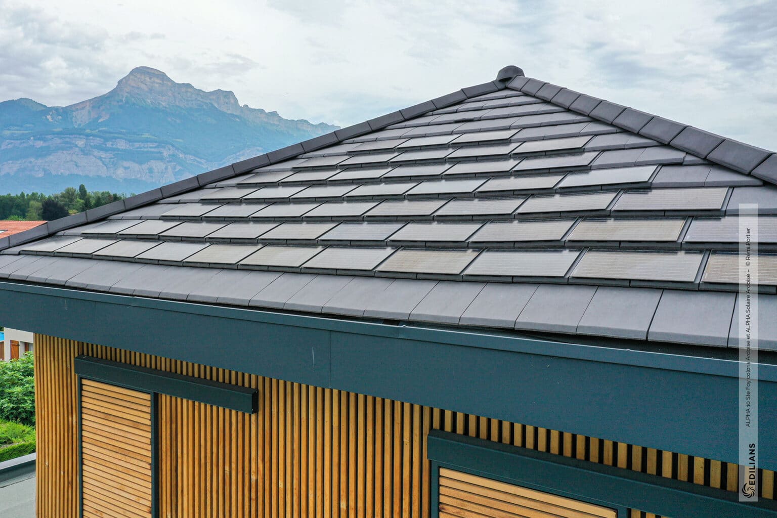 Edilians - Edilians Group