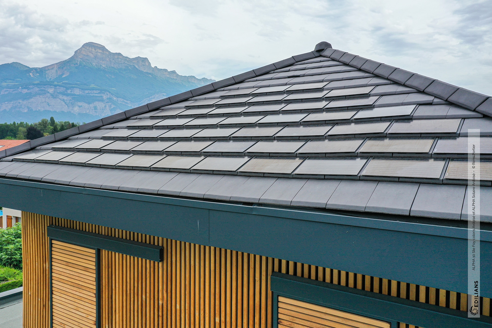 Edilians - Edilians Group