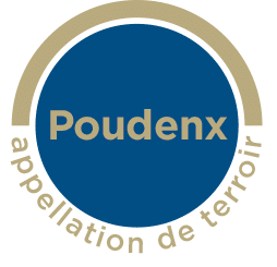 Edilians - Edilians Group