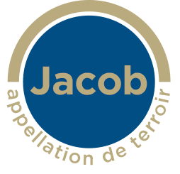 Edilians - Edilians Group